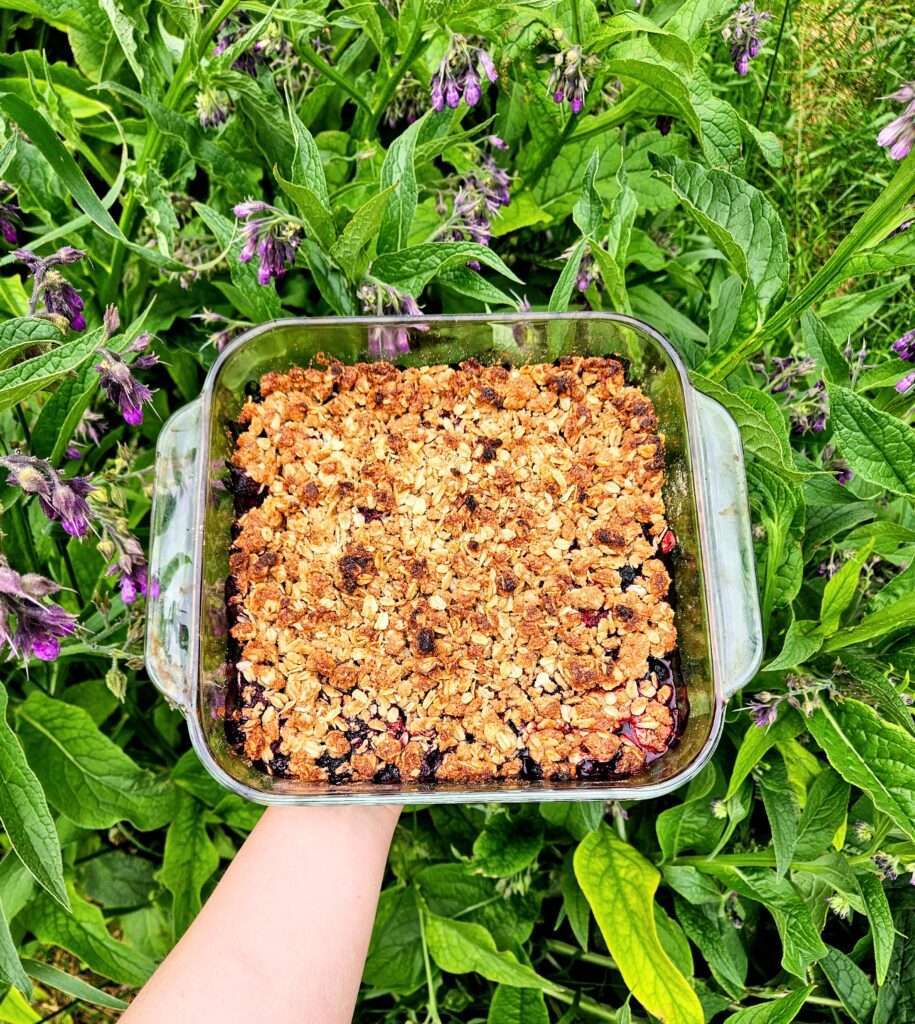 Easy Whole-Grain Crumble with Mixed Berries & Rhubarb - Bronwyn's Bread ...