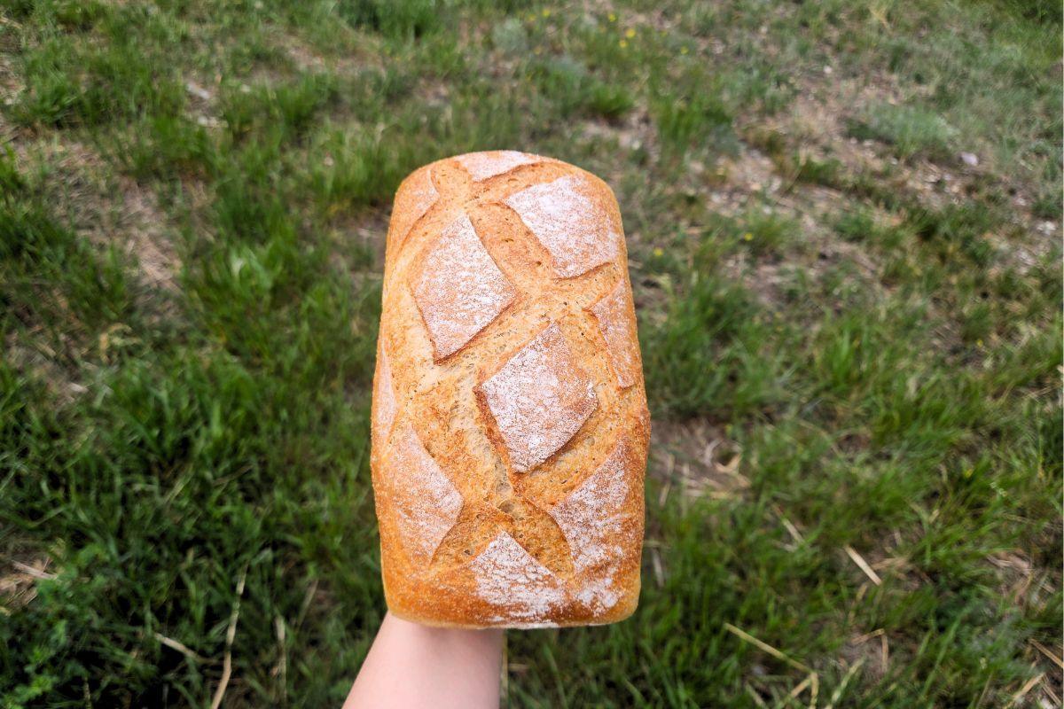 Yogurt-Fermented Yeasted Bread Recipe | The Best Sourdough Alternative