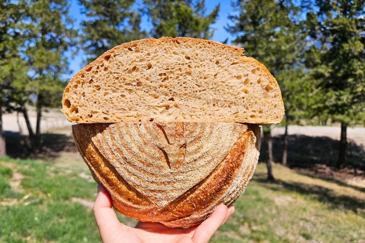 Mostly Whole Wheat Sourdough Bread Recipe